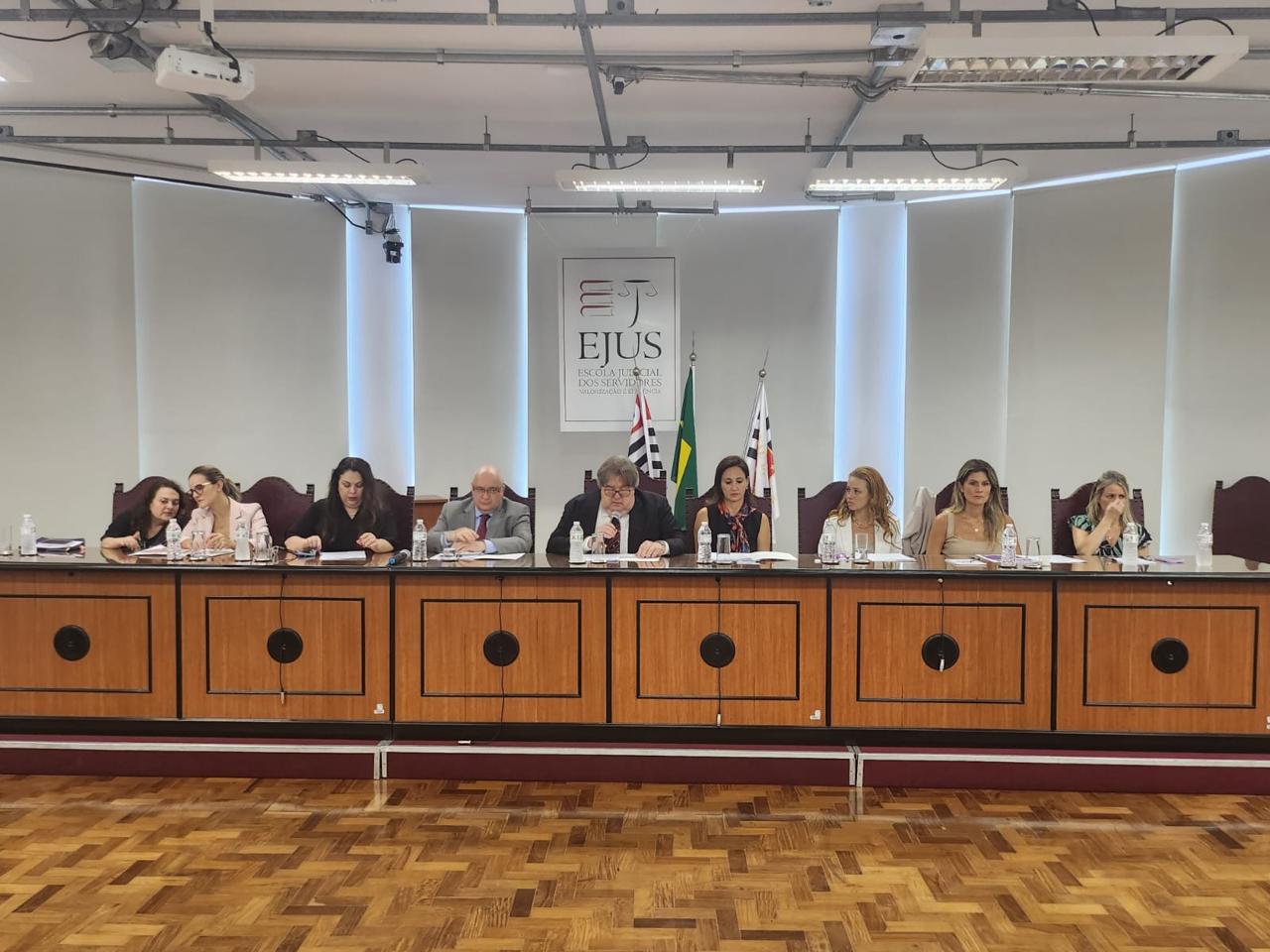 Comissão Permanente De Acessibilidade E Inclusão Sinjuris